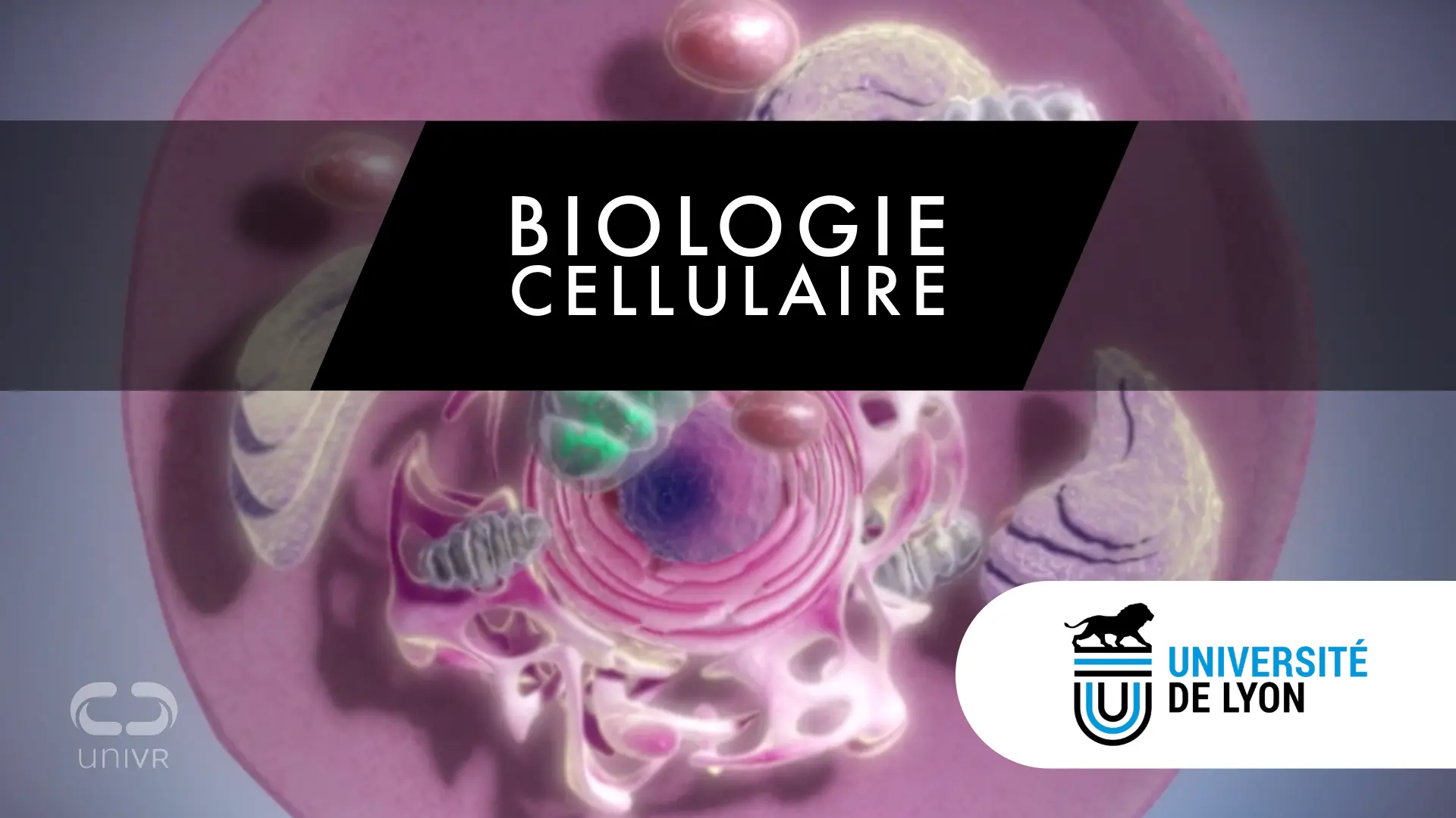 Réinventer l’apprentissage de la biologie cellulaire avec la VR